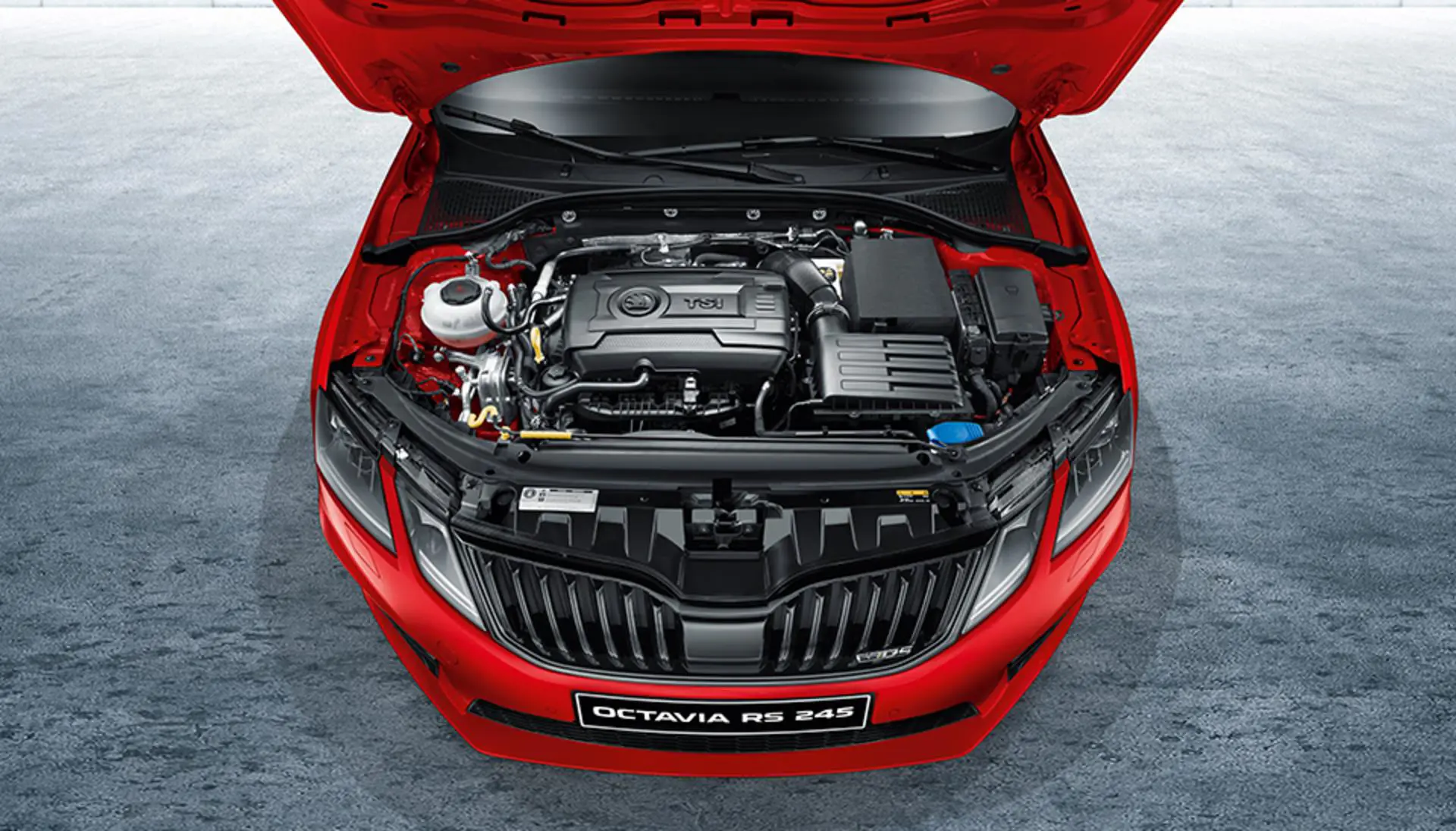 Skoda Octavia RS 245 Images