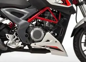 Benelli BN 251 Images