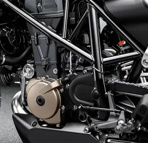 Husqvarna Svartpilen 701 Images