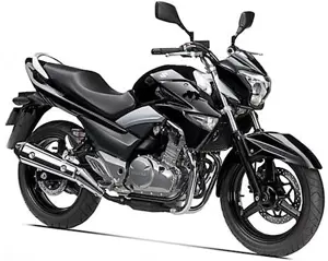 Suzuki Inazuma GW250 Images