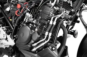 Yamaha FZ 250 Images